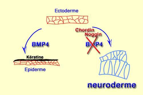 Fig.127