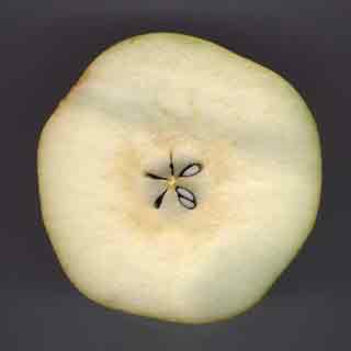 Poire