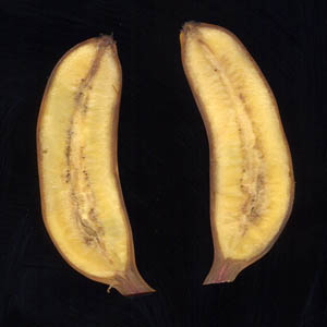 banane