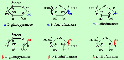 structure des glucides