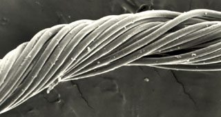Les fibres de cellulose modifiée