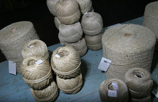 Les utilisations du chanvre